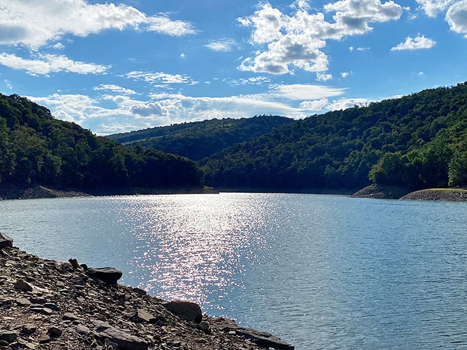 The Savage River Reservoir sparkles like nature's disco ball, surrounded by Maryland's western mountains in a scene worthy of a national park brochure.