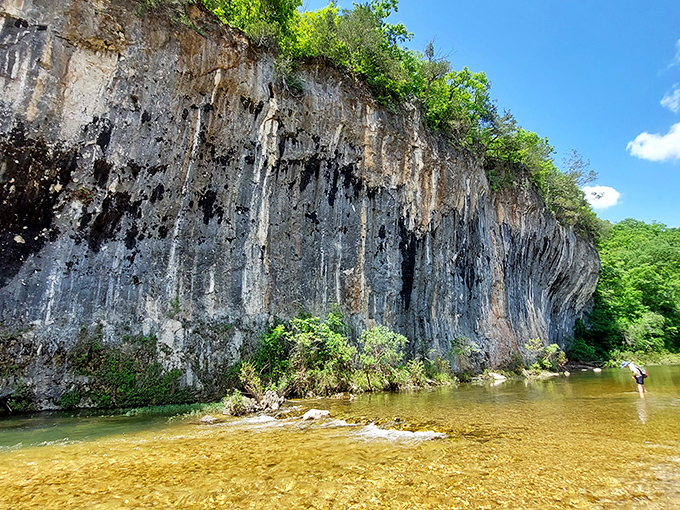The towering limestone face of Echo Bluff stands like nature's skyscraper, reflecting millions of years of geological patience. Crystal-clear Sinking Creek invites you to wade in its refreshing embrace.