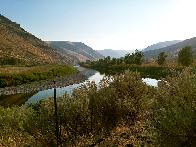 The John Day River carves its masterpiece through golden hills, creating a landscape that whispers "slow down and stay awhile."