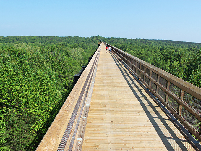 The wooden pathway stretches toward infinity, inviting you to walk among the treetops like some kind of casual, non-spandex-wearing superhero.