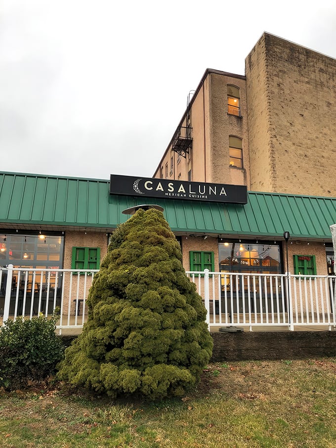 The welcoming patio at Casa Luna beckons like a culinary oasis in Somerville, where vibrant umbrellas and sunflowers promise Mexican delights inside.