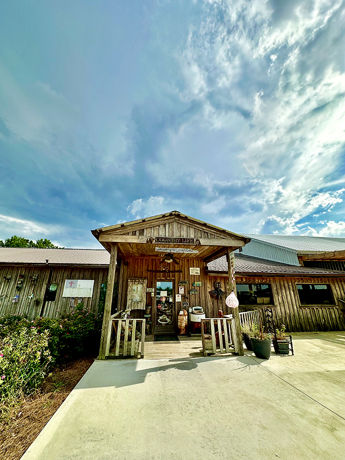 The unassuming wooden exterior of Cedar Lane Supper Club might fool you, but locals know this rustic hideaway houses some of Georgia's finest dining treasures.
