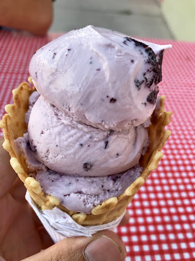 Three generous scoops of huckleberry ice cream in a waffle cone. This isn't dessert&mdash;it's a purple mountain majesty in edible form.