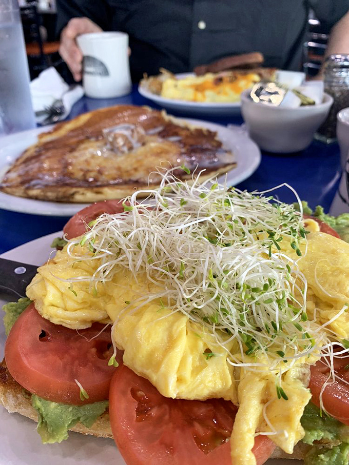 Avocado toast gets the Midwest treatment: generous, unpretentious, and topped with enough sprouts to make California jealous.