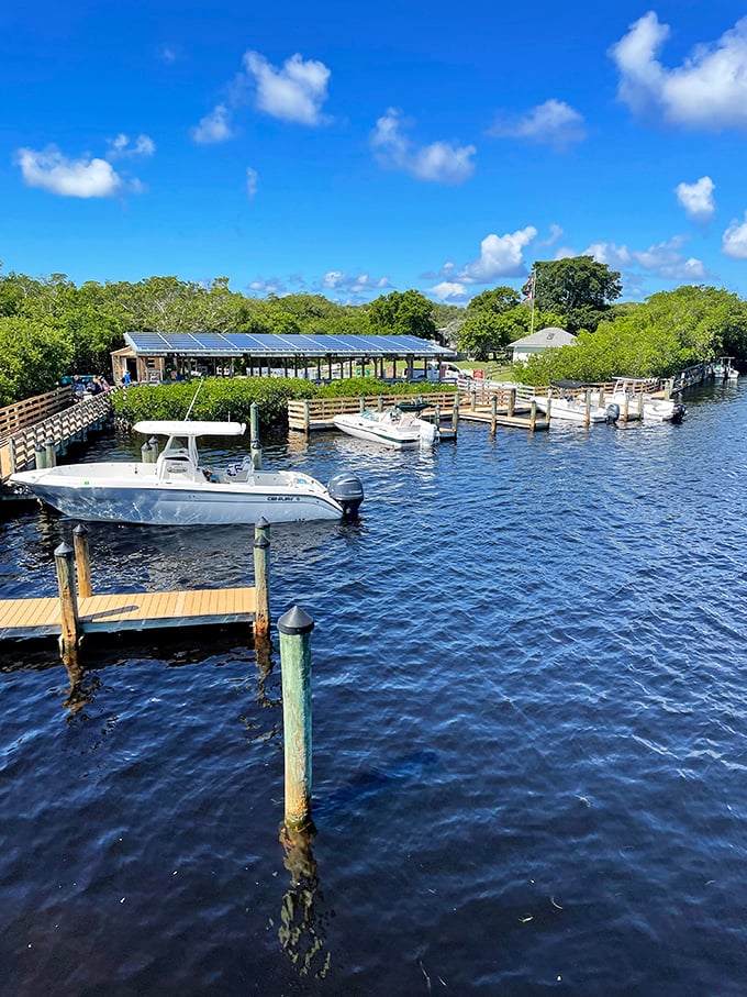 The marina&mdash;where civilization makes its last stand before wilderness takes over. These docks are your gateway to island solitude.