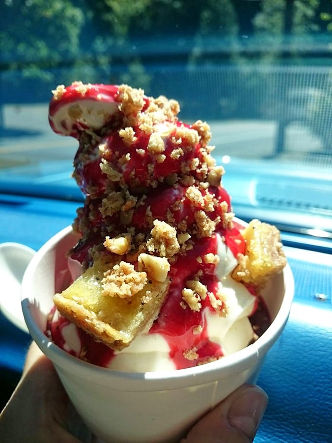 Berry sauce cascading over vanilla soft serve like a sweet lava flow. Mother Nature herself would approve of this eruption. 