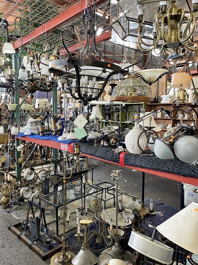 The chandelier forest glimmers with potential, hanging in suspended animation. Your ceiling's soulmate is waiting somewhere in this twinkling jungle.