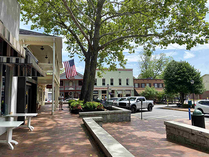 Dahlonega's town square offers shady respite and park benches perfect for people-watching or contemplating which antique shop to visit next.