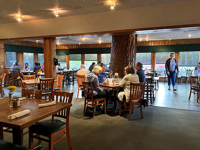 Generations of diners have gathered around these tables, creating memories beneath the watchful gaze of century-old pines.