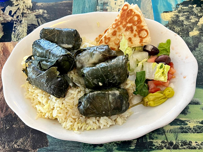Dolmades lounging on a bed of rice like little green flavor packages waiting to be unwrapped by your eager fork.