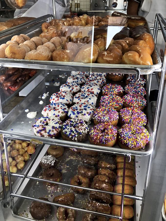 Donut paradise in three tiers: the sprinkled, the glazed, and the chocolate-dipped. A United Nations of fried dough diplomacy.