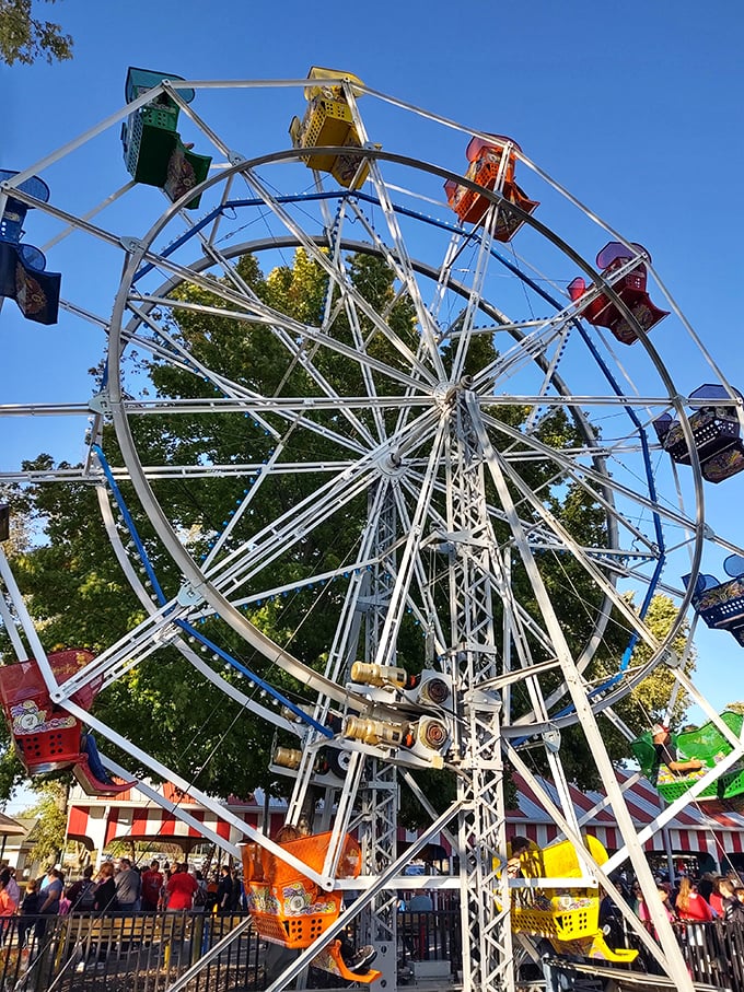 The Ferris wheel stands tall against a perfect blue sky, its colorful gondolas promising both gentle thrills and spectacular views of this charming time capsule of a park.