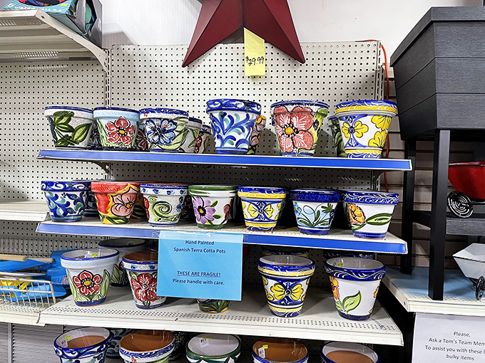 Hand-painted pottery that brings Mediterranean sunshine to New England homes &ndash; each piece a tiny vacation for your houseplants.