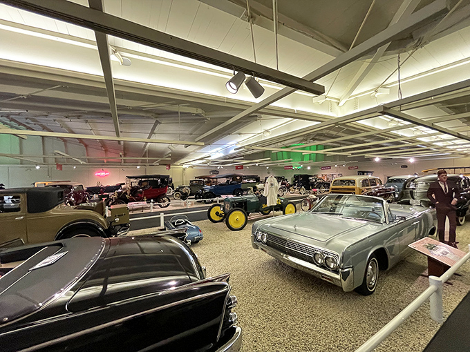 The museum's thoughtfully arranged displays let each automotive masterpiece breathe, creating a gallery where Lincolns and Cadillacs are the Picassos and Rembrandts.