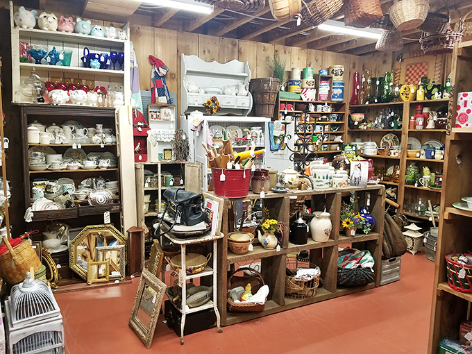 Not just kitchenware, but kitchen history. These shelves hold the secret ingredients to nostalgia, served with a side of "they don't make 'em like this anymore."