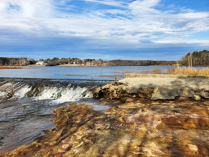 Larkwood Falls demonstrates that natural beauty doesn't come with a premium price tag in Cullman. Water features that don't require a second mortgage.