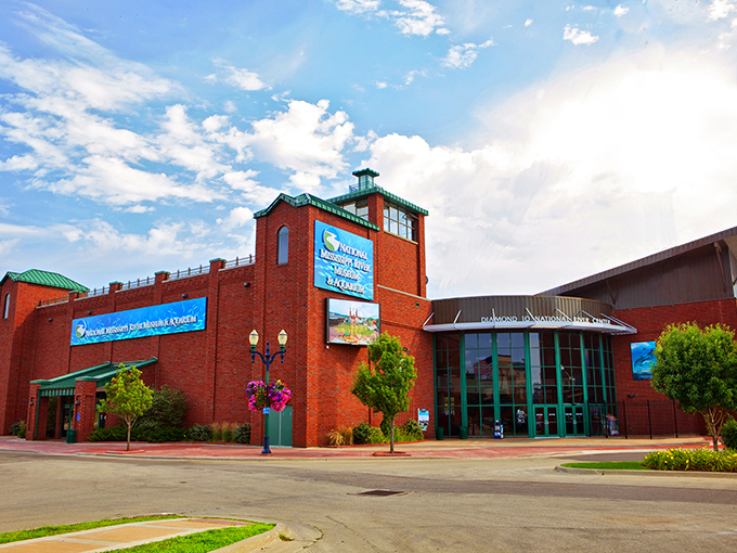 The National Mississippi River Museum & Aquarium combines education with entertainment, much like that one cool teacher you still remember from school.