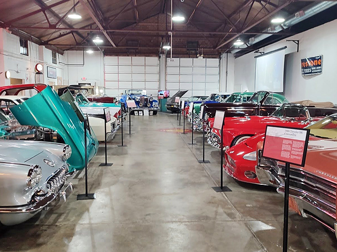 Cars line up like colorful candies in a display case, each one tempting you to imagine yourself behind their wheels on an open highway.