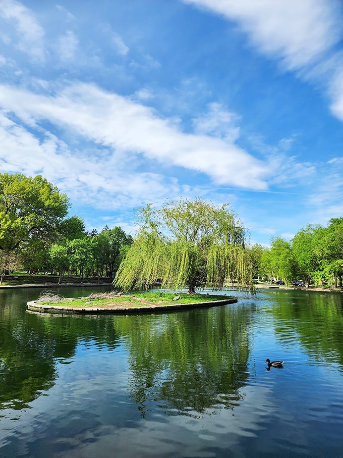 Lush ponds and gardens surround the greater park area, offering peaceful retreats where wildlife and visitors coexist in natural harmony.