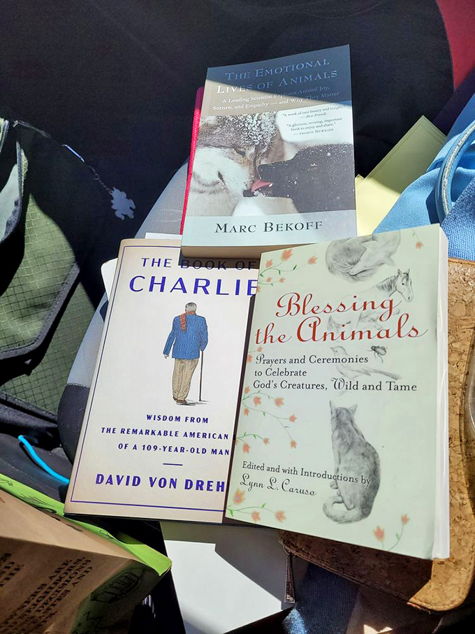 Beautiful journals that make you believe you'll finally start writing daily. This time it's different. (Narrator: It was not different.)