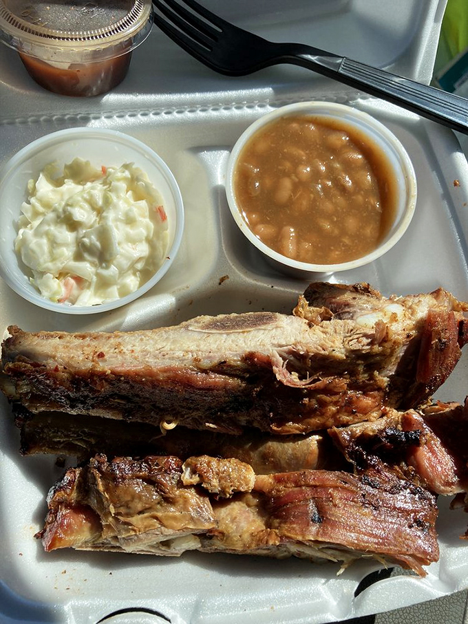 Ribs that don't need a fancy plate to make their point. The potato salad and baked beans know they're in the presence of greatness.