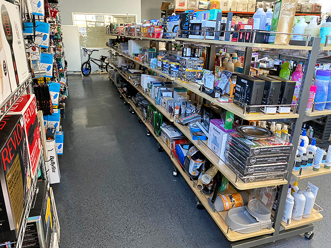 Aisle after aisle of household essentials and unexpected finds. Like a scavenger hunt where every discovery comes with a price tag that makes you smile.