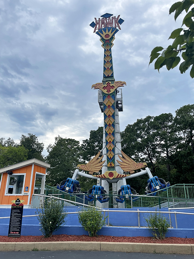 The Hawk rises majestically against cloudy skies, its colorful design promising riders a brief but memorable relationship with weightlessness.