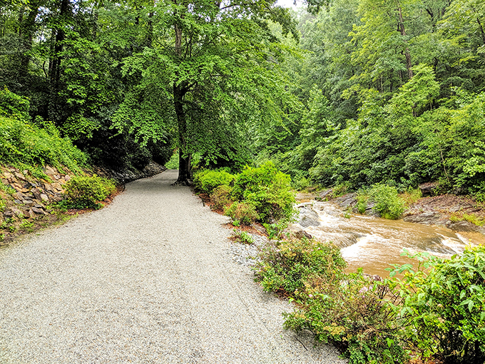Sunlight dapples this well-maintained trail, where the journey rivals the destination in beauty and tranquility.
