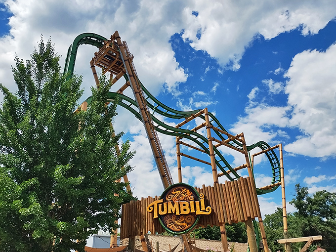 Tumbili invites riders to experience life upside-down, proving that sometimes the best perspective comes from turning your world around.