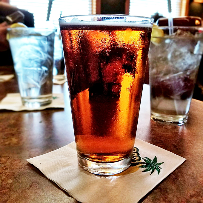 Beer so perfectly poured it deserves its own moment of silence. The condensation on that glass is practically performance art.
