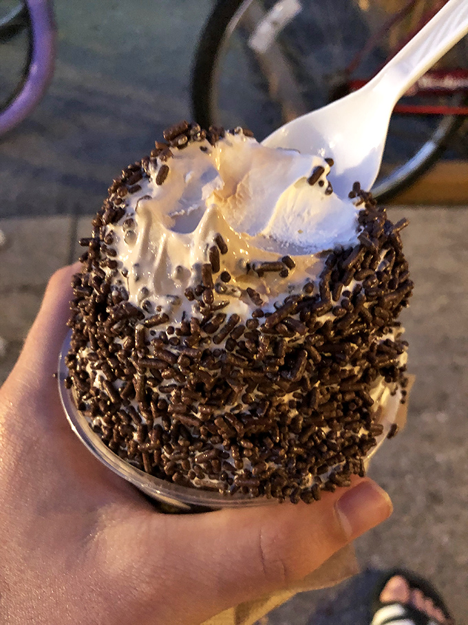 Chocolate custard wearing a tuxedo of sprinkles. Sophisticated enough for dessert royalty, yet approachable enough for beach bums.