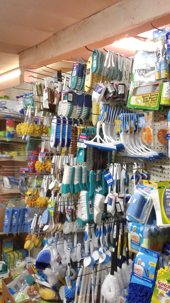 Cleaning supplies hang organized like a janitor's paradise, making household chores slightly more bearable somehow.