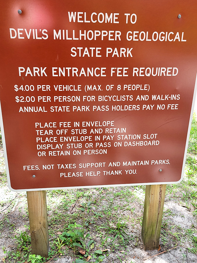 The price of admission to geological wonder? Less than your morning latte. Some of Florida's best views come with a refreshingly modest price tag.