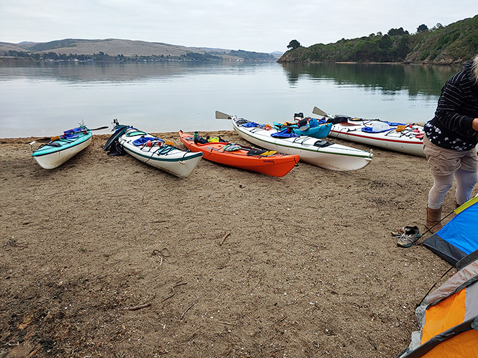 Colorful kayaks waiting patiently for their next adventure, like eager puppies hoping you'll pick them for the day's journey.