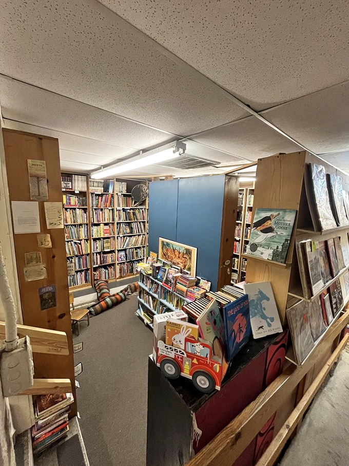 The children's section: where future bookworms are born and parents secretly reconnect with the stories that shaped their own childhoods.