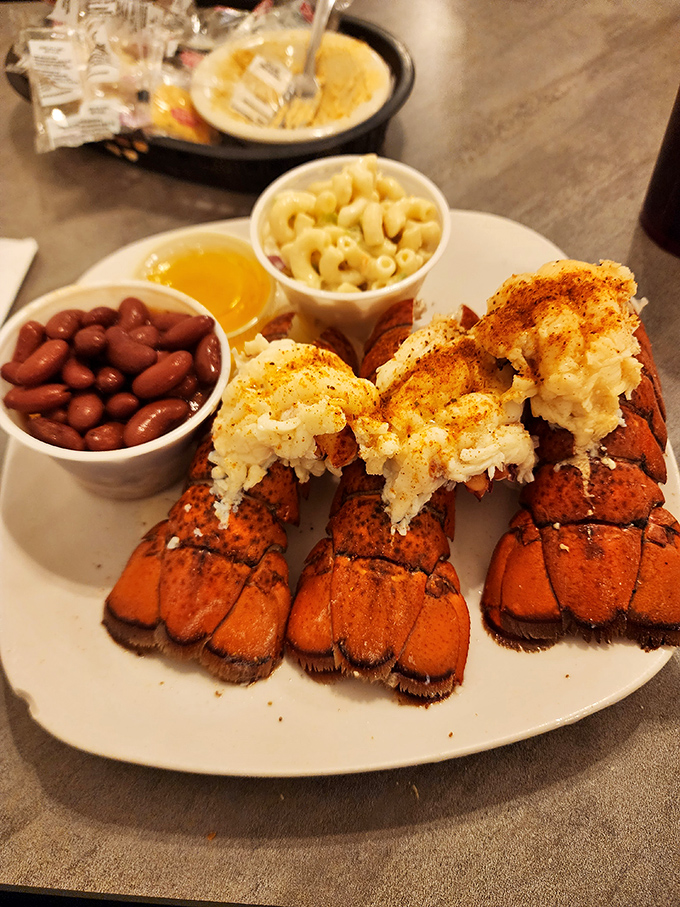 Lobster tails with that perfect char, flanked by comfort food sides. It's like the ocean and countryside decided to throw a party on your plate.