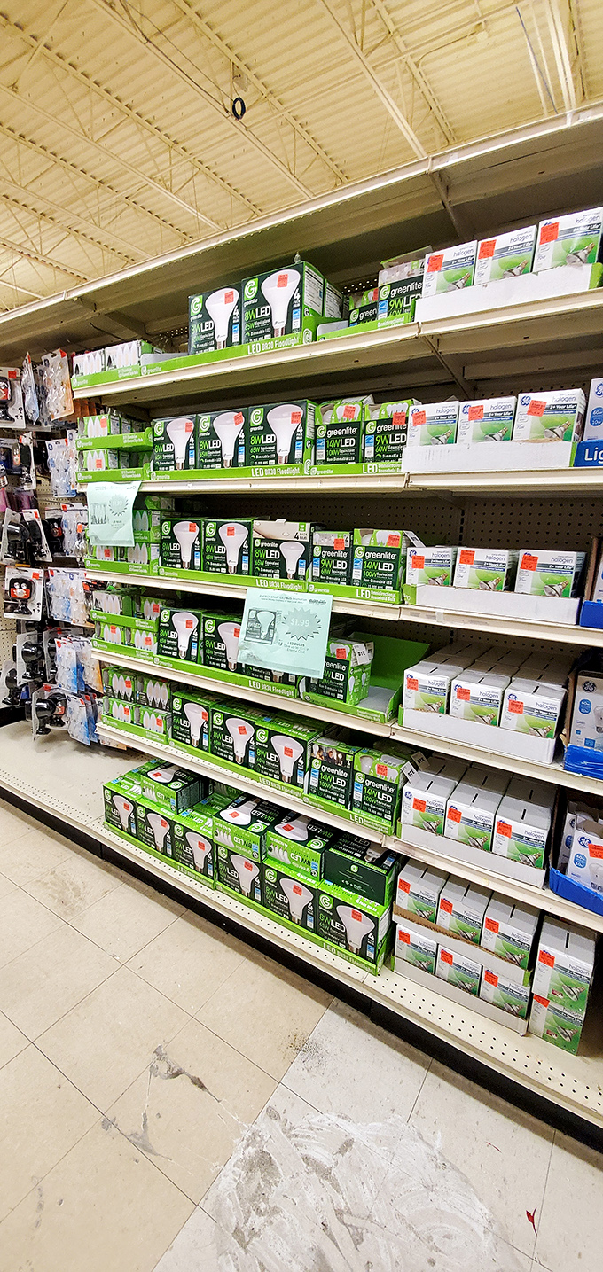 The lighting aisle illuminates shoppers' lives with energy-efficient options that brighten Michigan's long winter nights without darkening your financial outlook.
