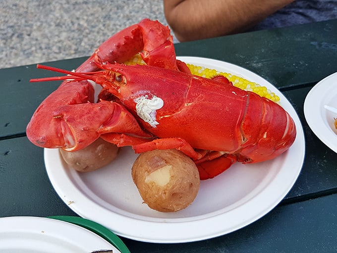 The undisputed royalty of the New England table – a perfectly steamed lobster that needs nothing more than drawn butter and your undivided attention.