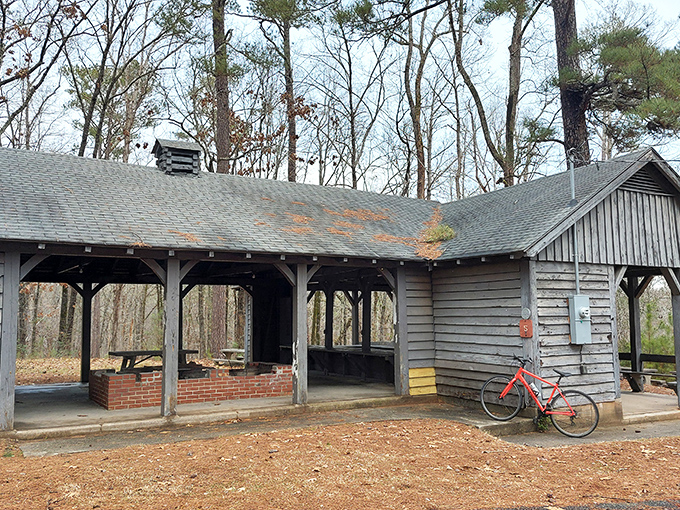 CCC-era picnic shelters provide shaded respite for trail-weary adventurers. These sturdy structures have hosted family gatherings since your grandparents packed their first picnic basket.