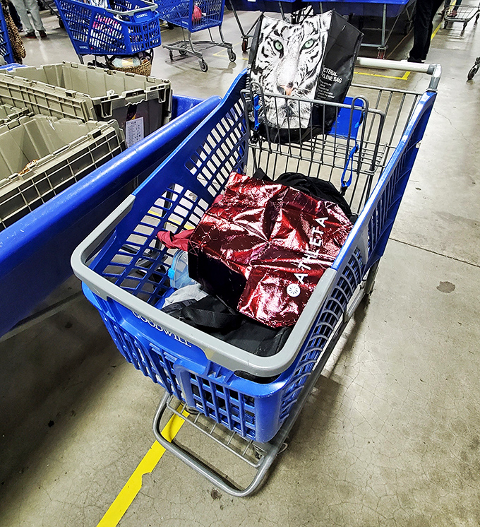 The modern treasure hunter's chariot, already filling with potential gems. That tiger bag and sparkly red package hint at the day's victories.