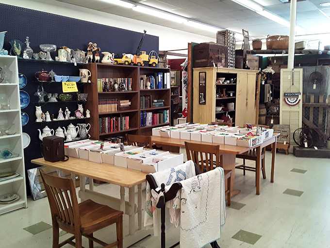 Books, teacups, and forgotten treasures&mdash;these shelves hold stories within stories, where every item waits patiently for someone to notice.