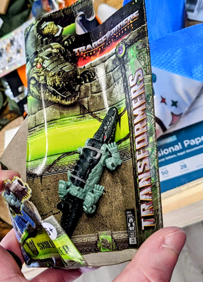 Even alligators can be bargains at Bin Diggin'. This little guy costs less than the coffee you're sipping while reading this caption.