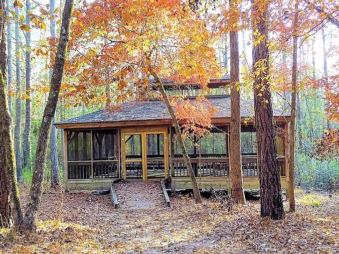 Autumn paints this screened porch cabin with golden hues, creating a sanctuary where forest meets comfort in perfect harmony.