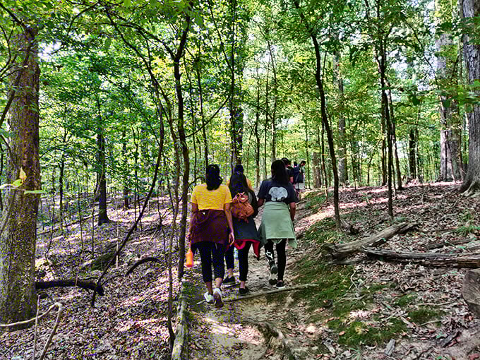 The best souvenirs are memories made on forest trails, where conversations deepen with every step into the woods.