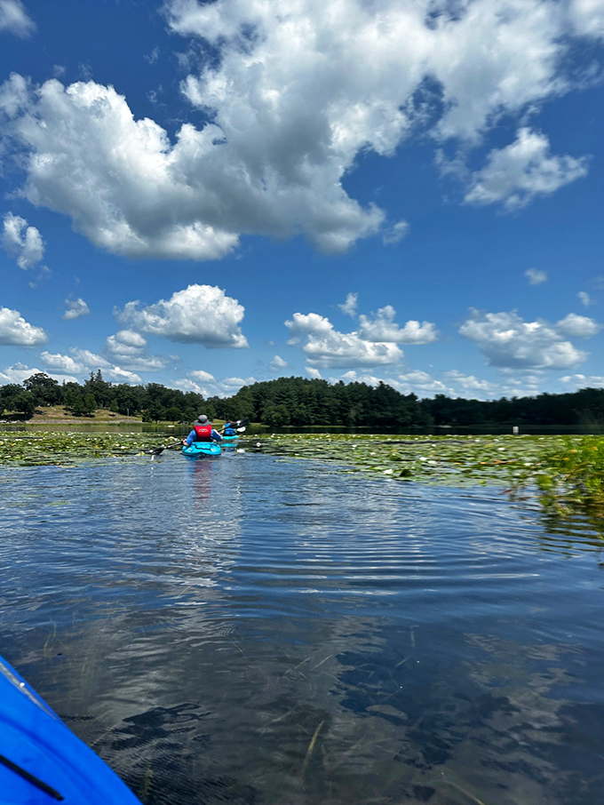 Chain O' Lakes serves up serene waters that reflect the surrounding pines like nature's own masterpiece. 