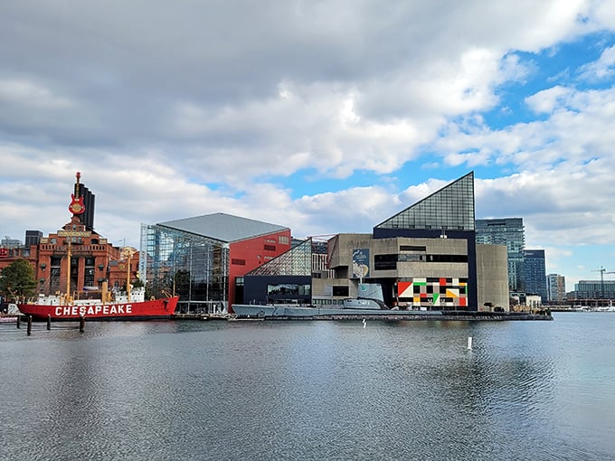 Laurel's affordable housing options might not look like luxury from outside, but they offer something priceless: financial freedom in retirement.