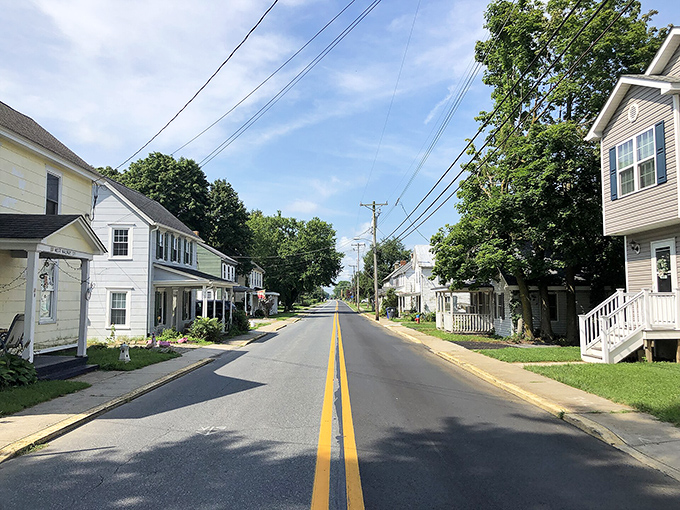 Magnolia's main street doesn't need fancy signs or tourist attractions—it's where neighbors exchange waves so frequently they develop specialized wrist muscles.