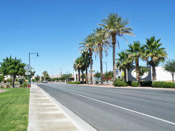 Palm-lined streets in Mesquite create a resort feel without resort prices, perfect for stretching those Social Security dollars.