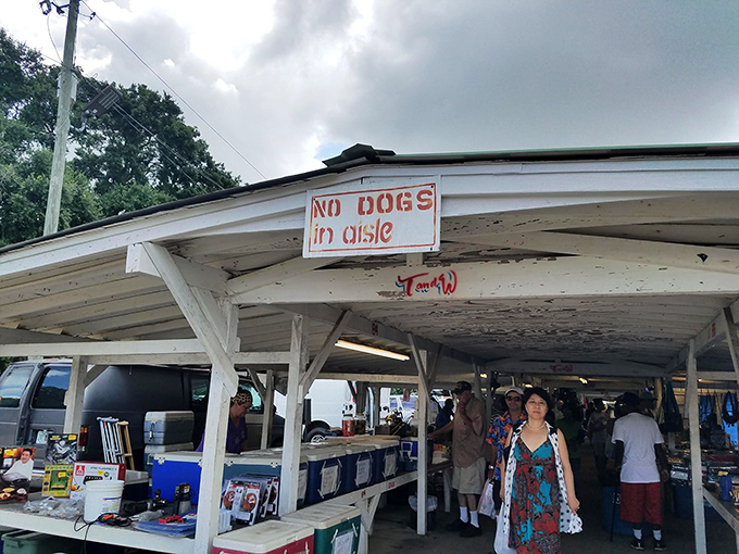 Covered walkways lead to adventure! The perfect mix of indoor comfort and outdoor browsing makes this market a weekend tradition.