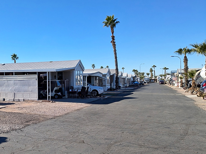 The desert roads of Apache Junction lead to adventure and affordability, where Social Security checks stretch like the horizon.